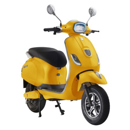 Electric Scooter – Flyrides